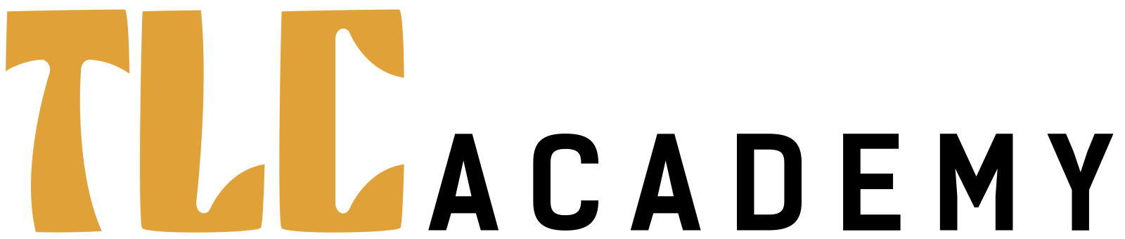 TLC Academy | Top - tier training for your professional growth